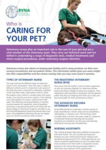 Veterinary Nursing Awareness Month Downloadable Visual Aids - British ...