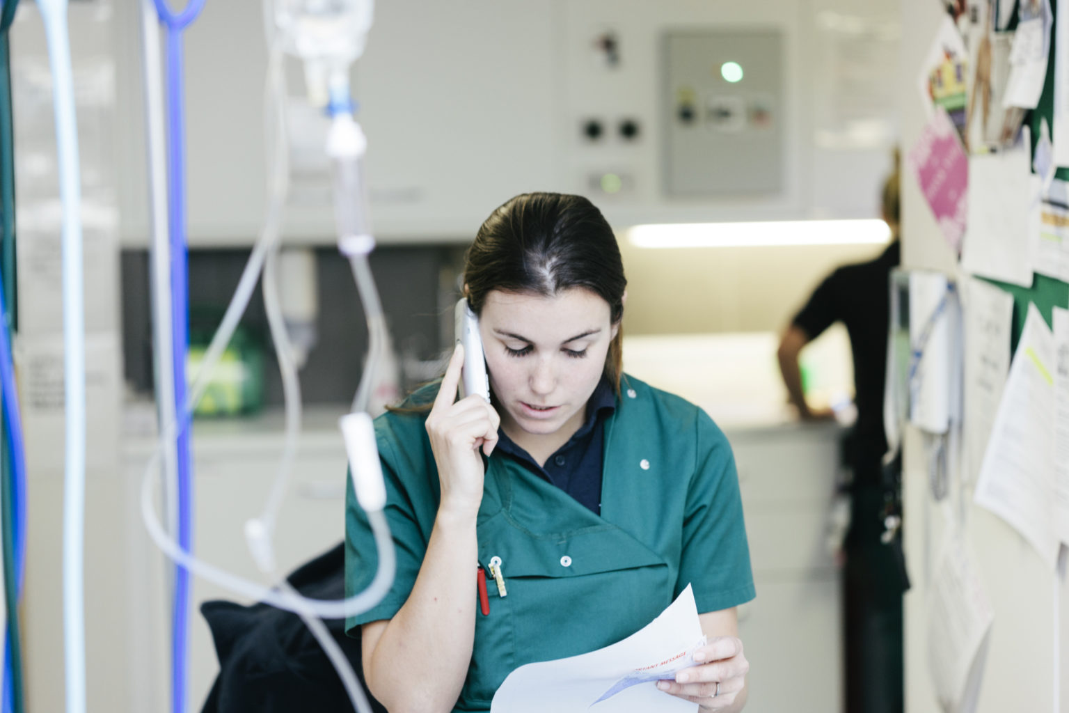 Triage tools during Covid-19 - British Veterinary Nursing ...