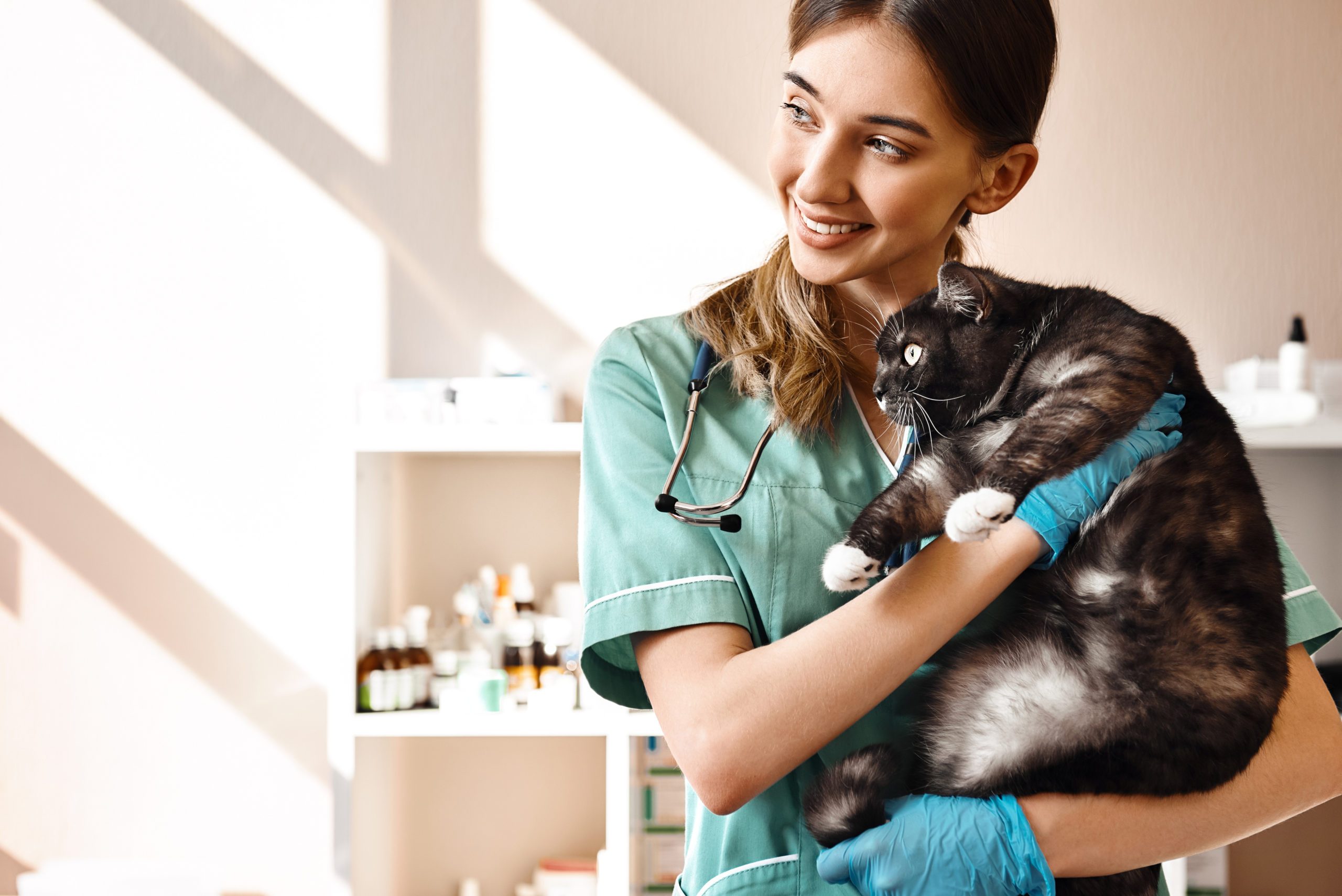 Self-Employed Veterinary Nurses - British Veterinary Nursing ...