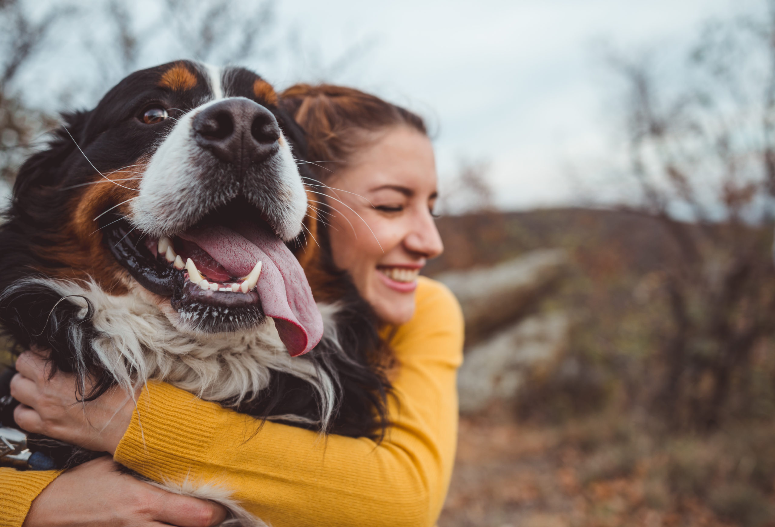 National Love Your Pet Day British Veterinary Nursing National Love Your Pet Day British Veterinary Nursing