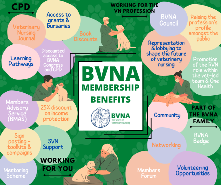 Why become a BVNA member? - British Veterinary Nursing ...