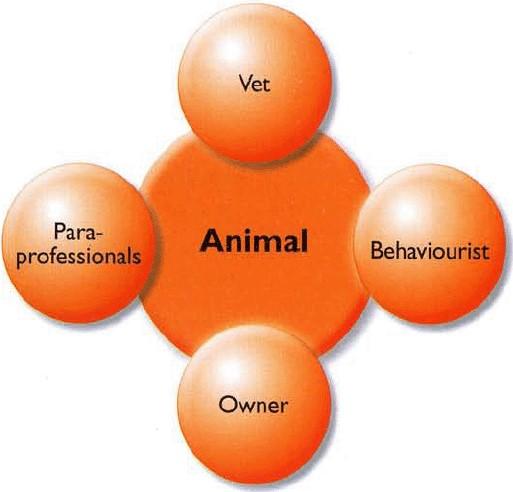 Behavioural considerations in veterinary practice by Loni Loftus ...