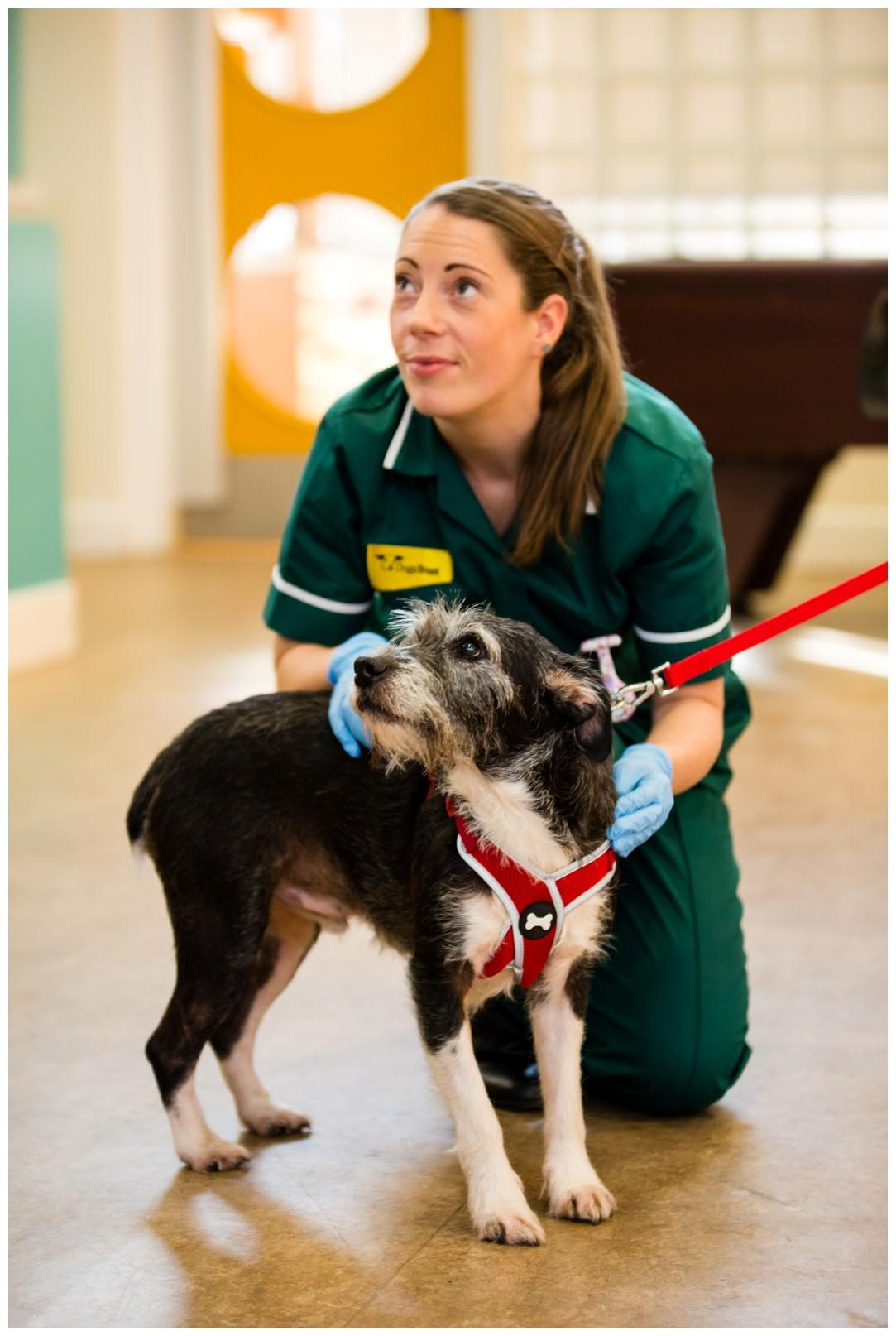 A move from practice into community nursing by Clare Jones - British ...