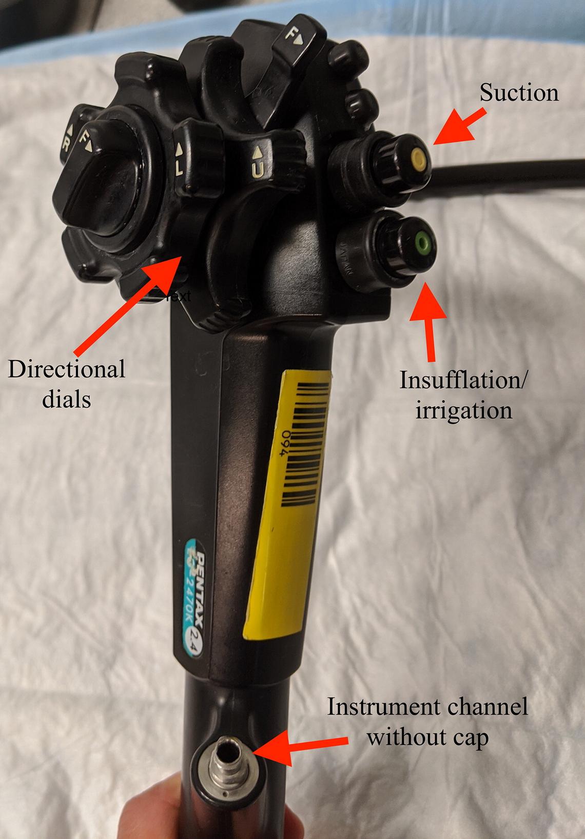 Care of flexible endoscopes for veterinary nurses by Laura George ...