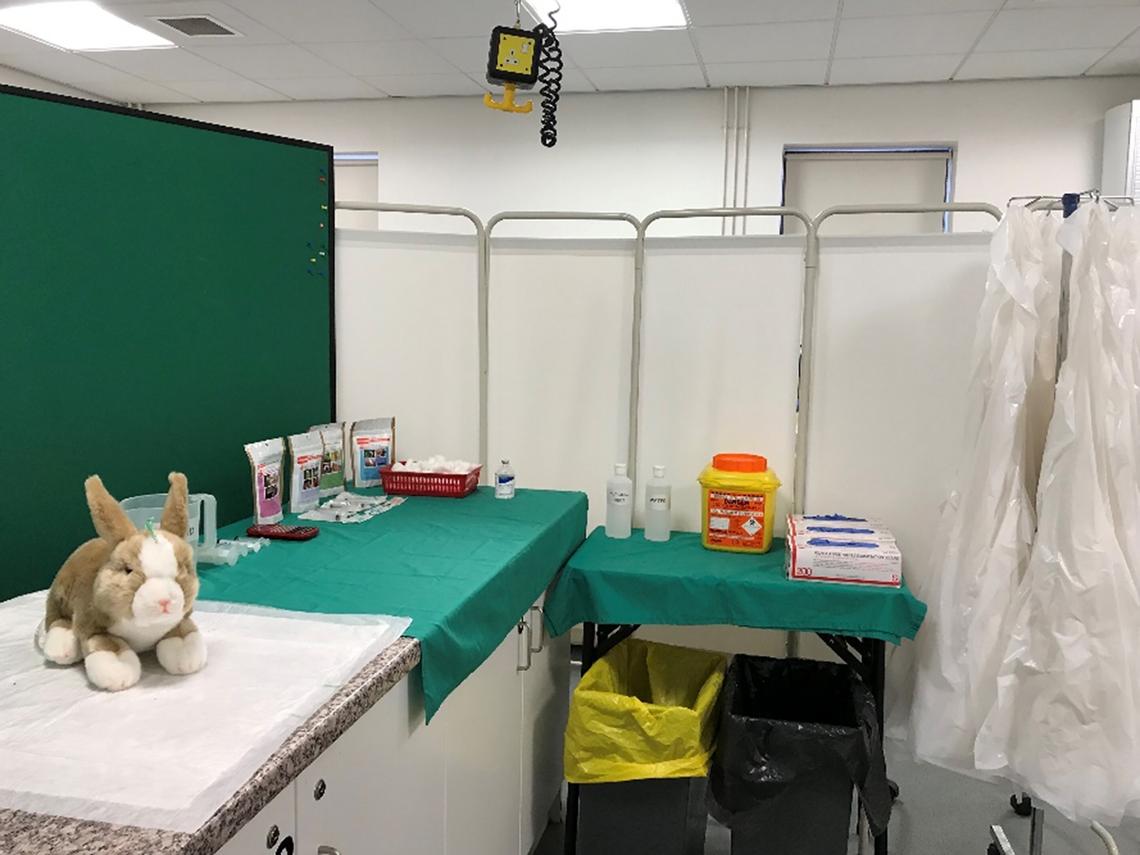 Time-constrained scenario-based practical examinations (TSPEs): an ...