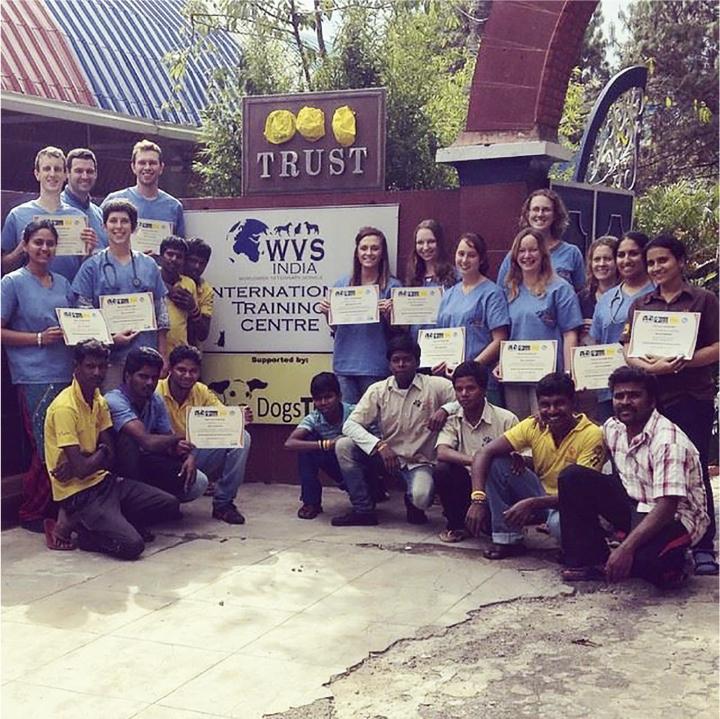 Volunteering with the WVS in India by Lauren Milby - British Veterinary ...