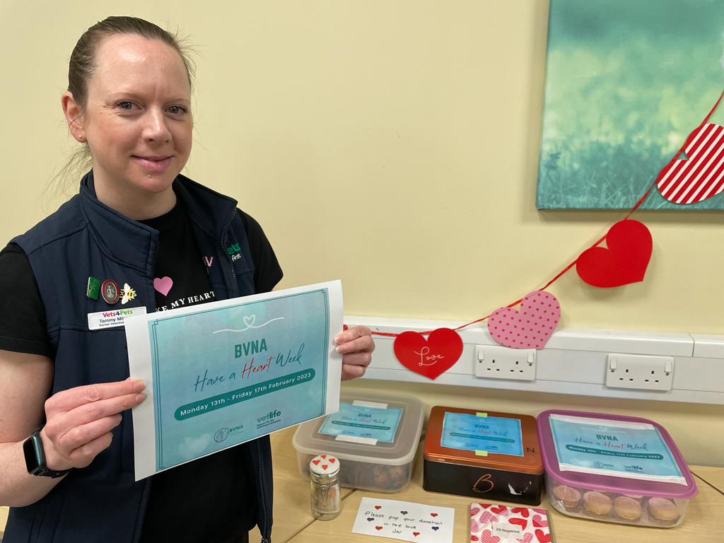 #VNAM2023 – Empowerment - British Veterinary Nursing AssociationBritish Veterinary Nursing ...