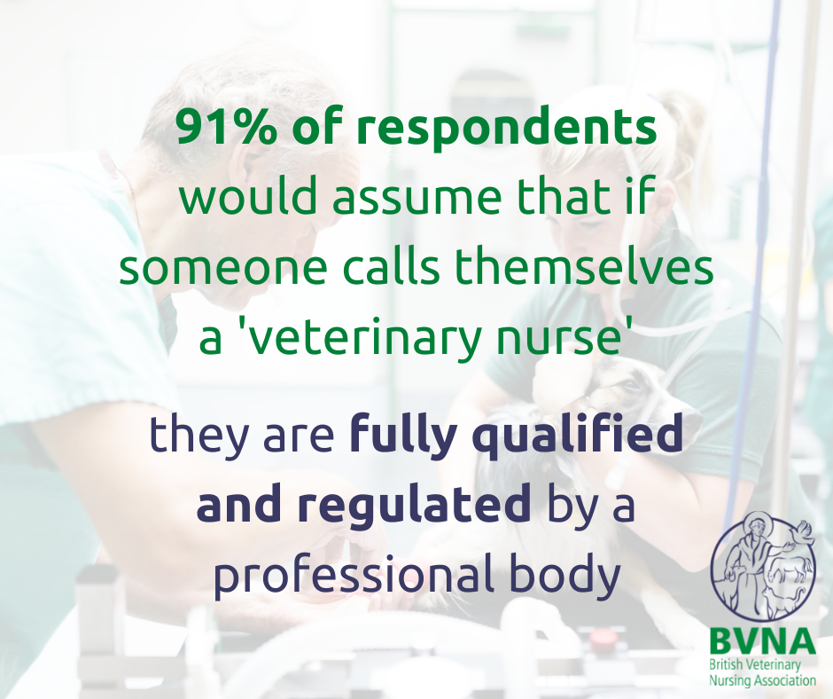 BVNA 'Protect the Title' campaign - British Veterinary Nursing ...