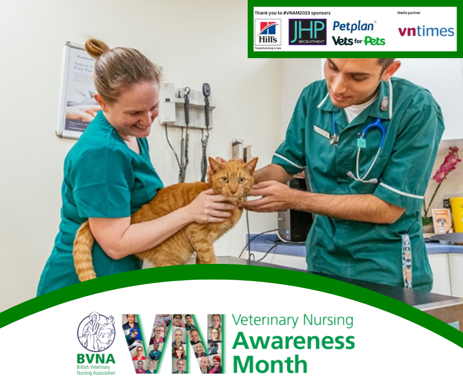 #VNAM2023 – How to ace your OSCEs - British Veterinary Nursing AssociationBritish Veterinary ...