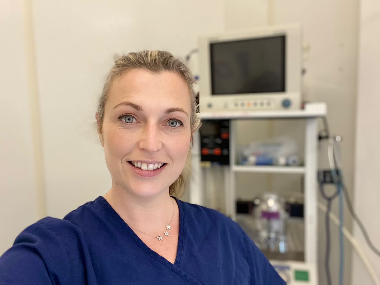 #VNAM2023 - My veterinary nursing colleagues are dreadfully, terribly, awfully, frightfully ...