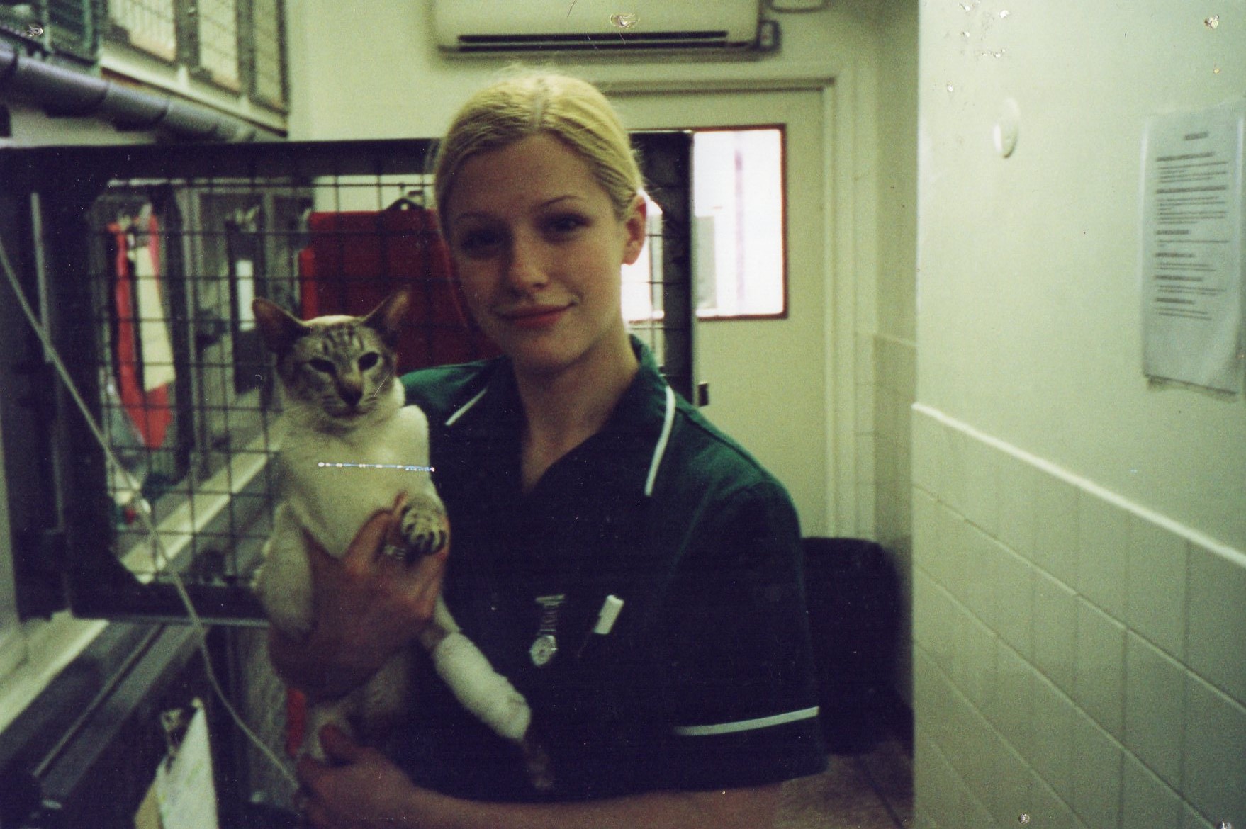 #VNAM2023 - My road map as an RVN - British Veterinary Nursing AssociationBritish Veterinary ...