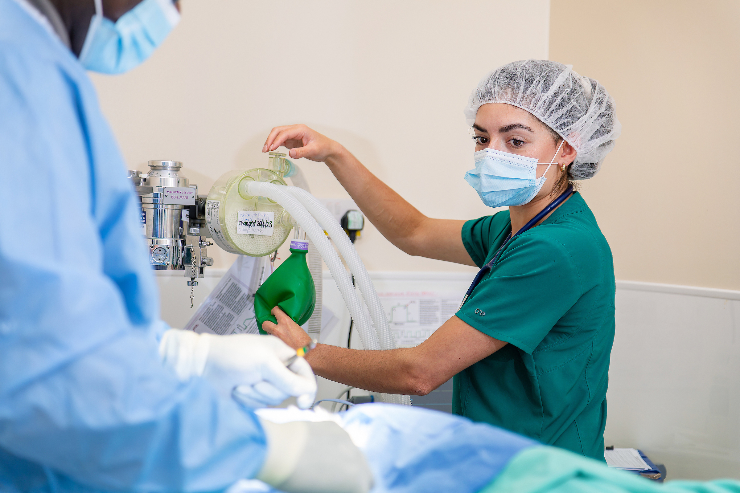 CVS launches Level 5 Diploma in Advanced Veterinary Nursing (Emergency ...