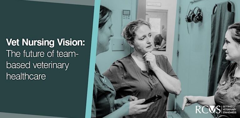 RCVS news: VN Futures project to hold series of ‘Vet Nursing Vision ...