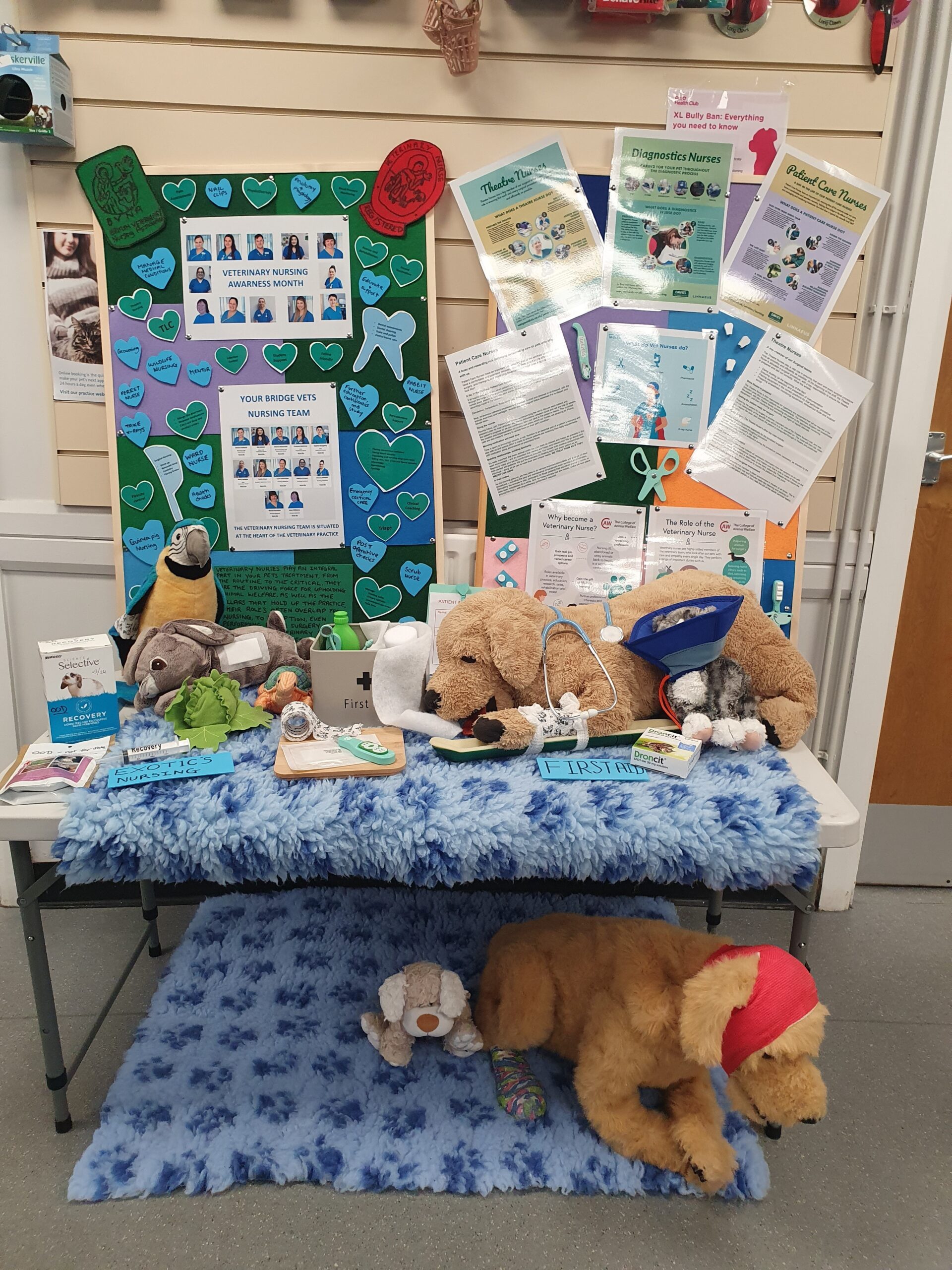 Veterinary Nursing Awareness Month 2024 - Competition Entries - British ...