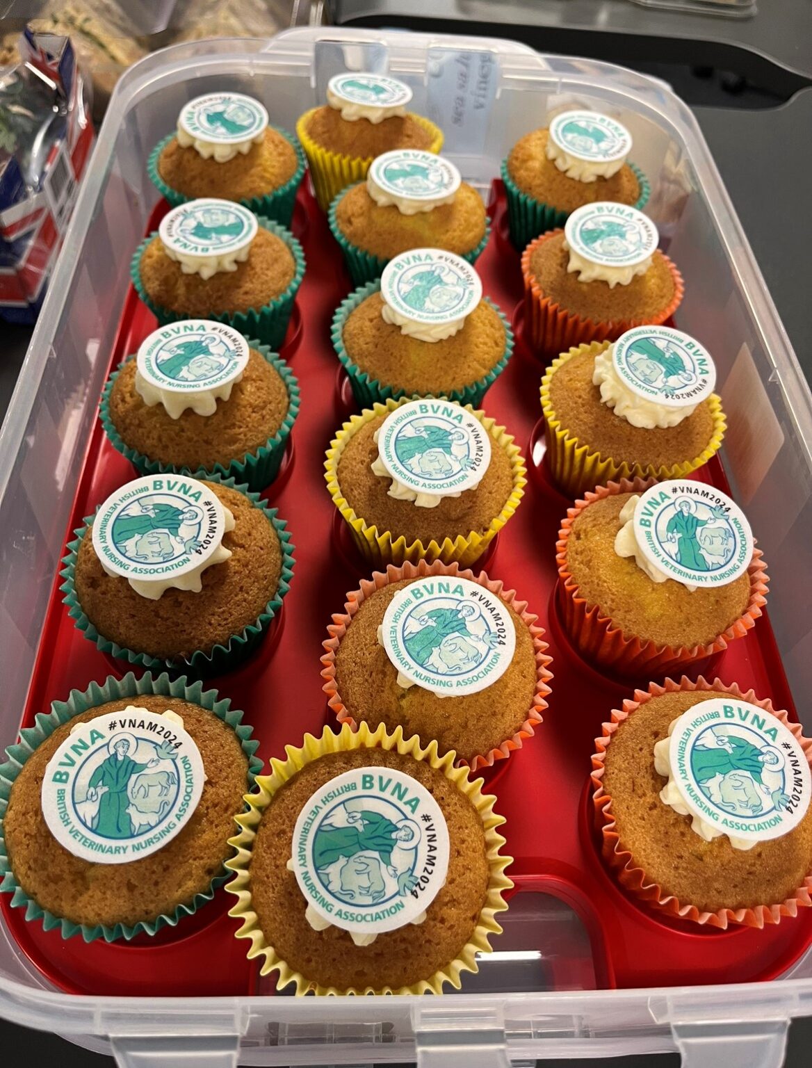 Veterinary Nursing Awareness Month 2024 - Competition Entries - British ...