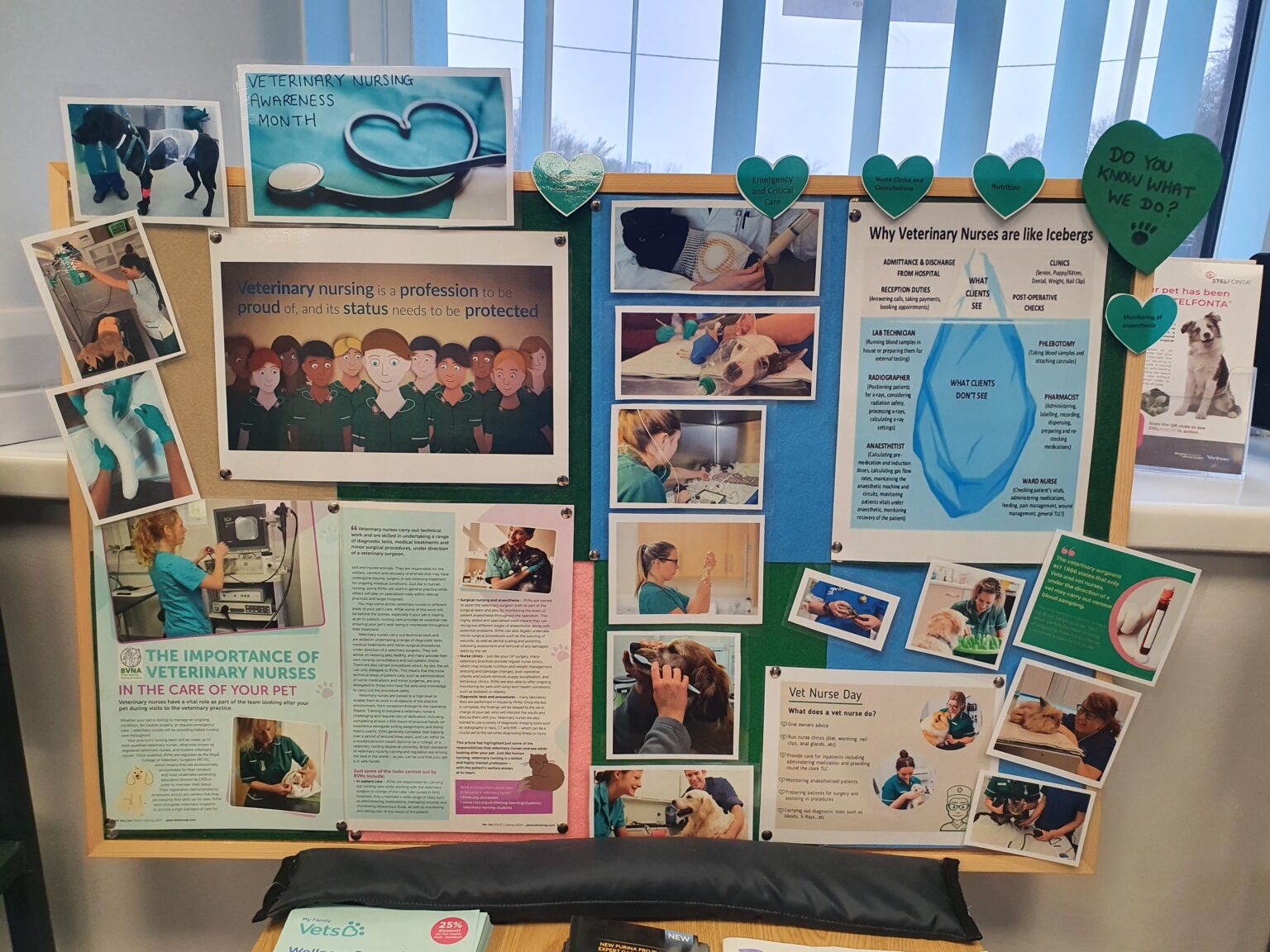 Veterinary Nursing Awareness Month 2024 - Competition Entries - British ...