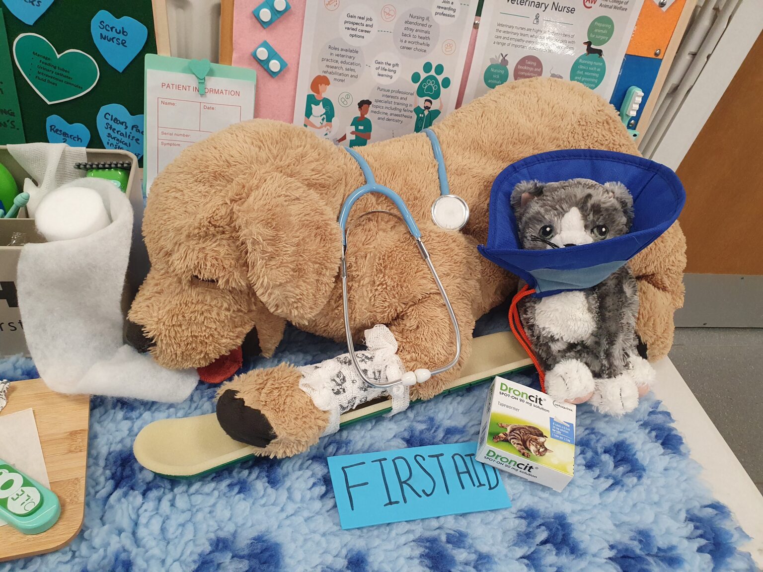 Veterinary Nursing Awareness Month 2024 - Competition Entries - British ...