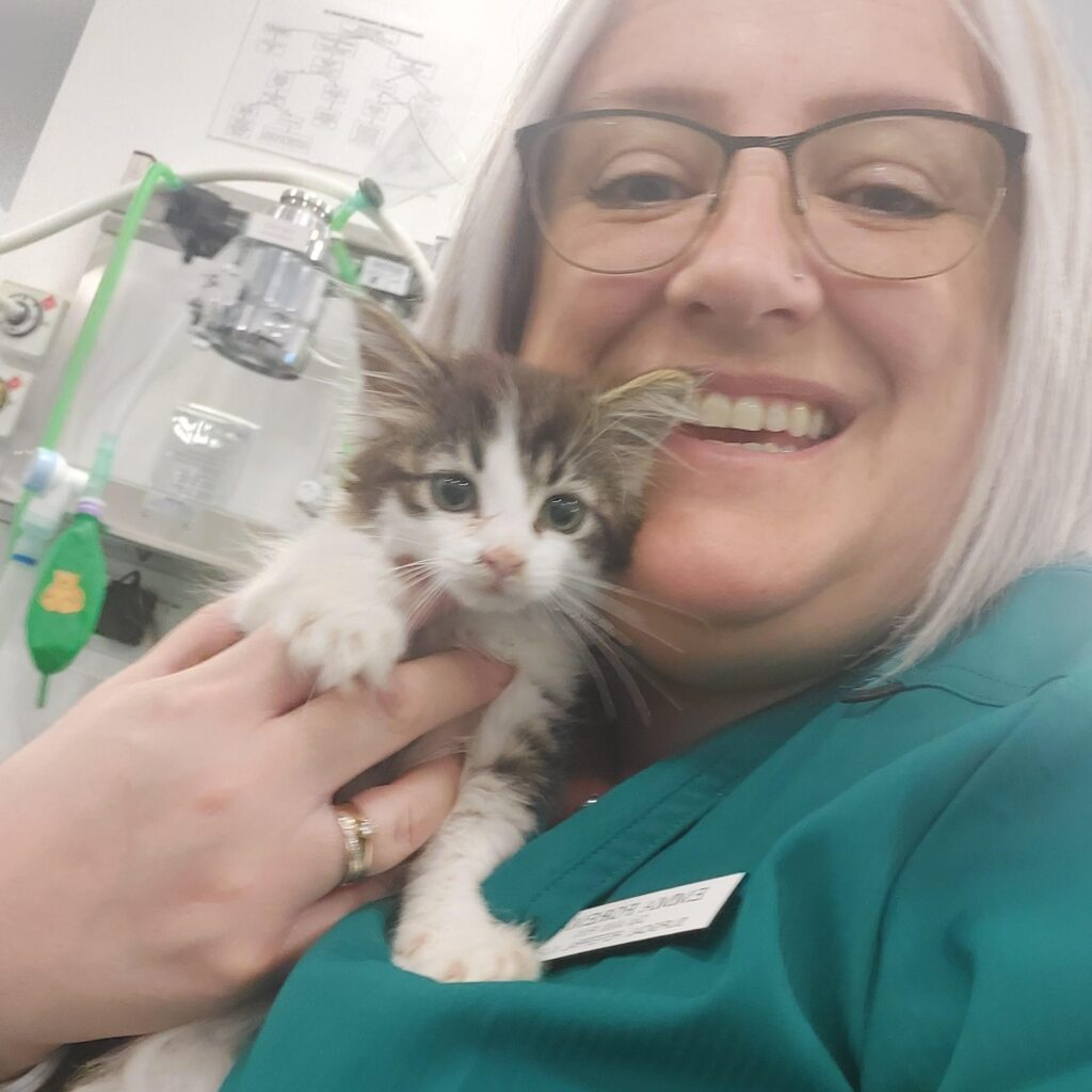 Meet the Speakers - British Veterinary Nursing AssociationBritish ...