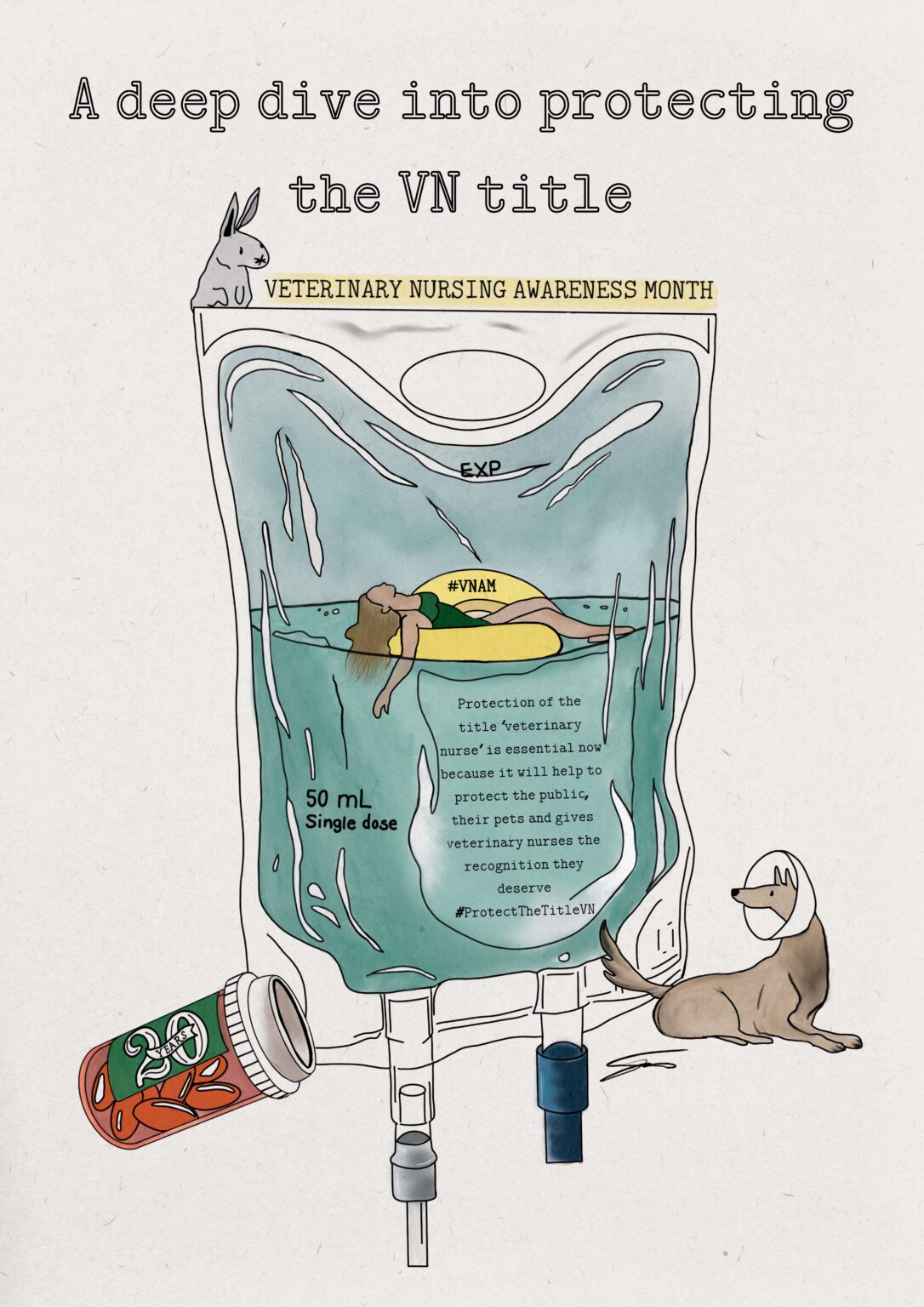 Veterinary Nursing Awareness Month 2024 - Competition Entries - British ...