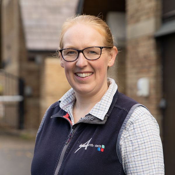 Meet the Speakers - British Veterinary Nursing AssociationBritish ...