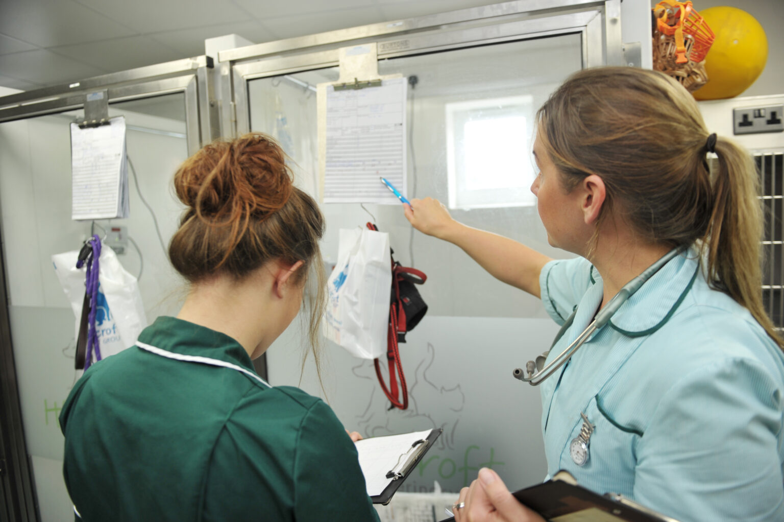 Clinical Coach Toolkit - British Veterinary Nursing AssociationBritish ...