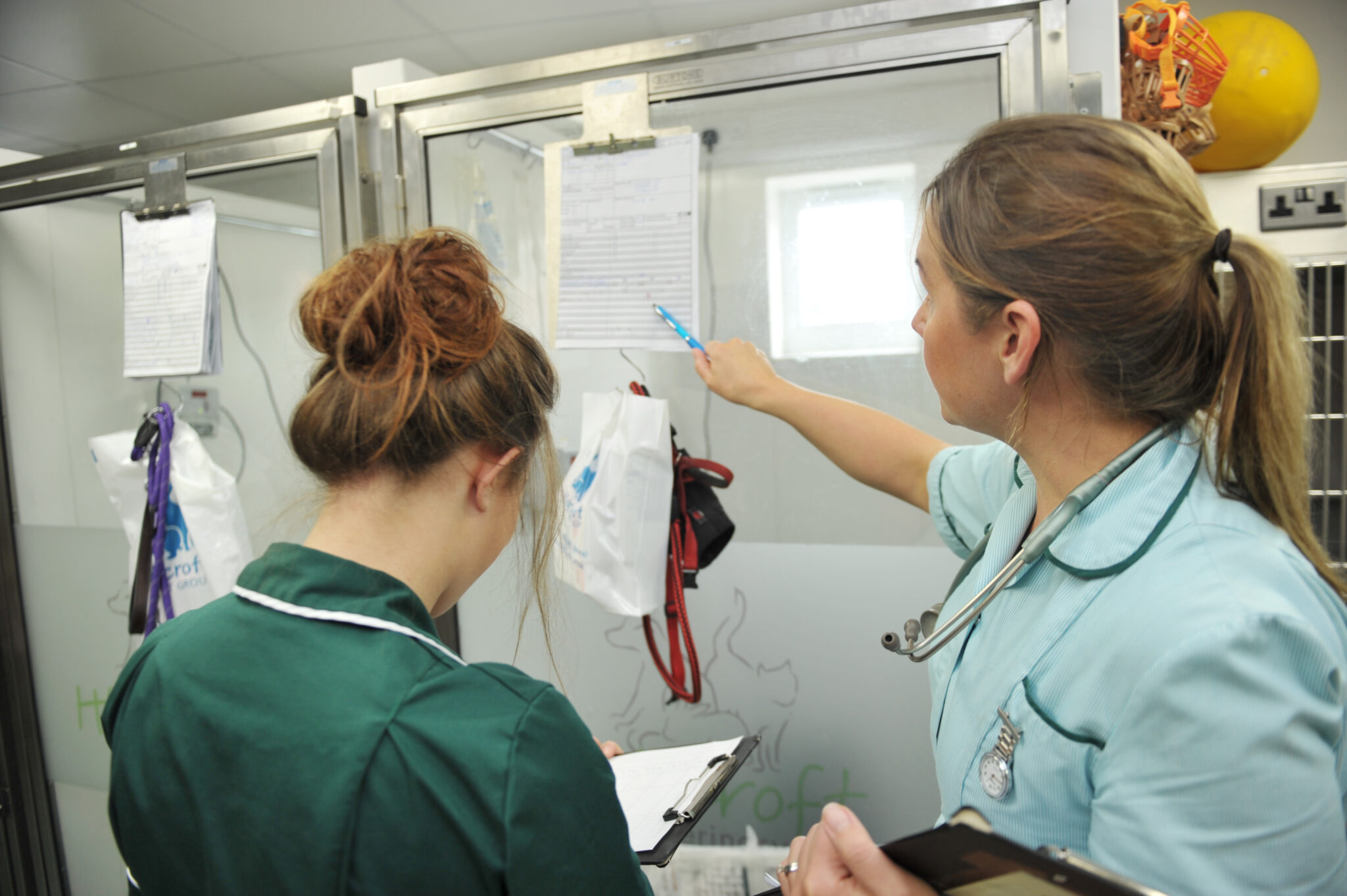 Clinical Coach Toolkit - British Veterinary Nursing AssociationBritish Veterinary Nursing ...