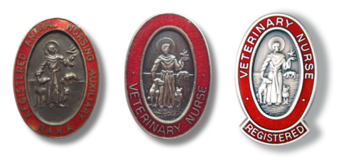 BVNA is 60: Celebrate our diamond year with us in 2025! - British ...