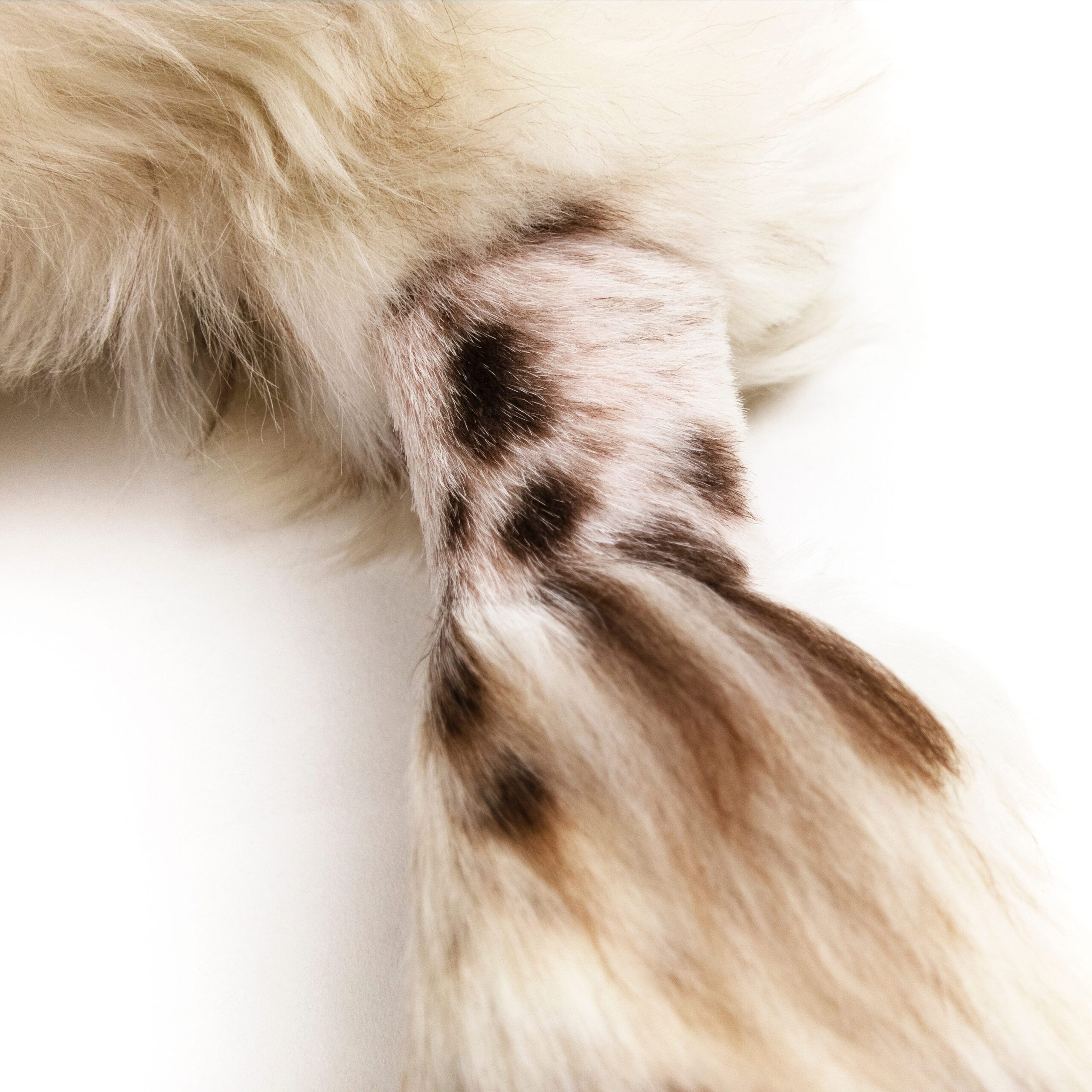 To clip or not to clip? A study on the necessity of clipping before ...