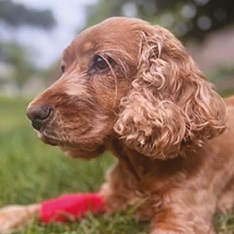Polyradiculoneuritis: A case study and nursing care analysis - British ...