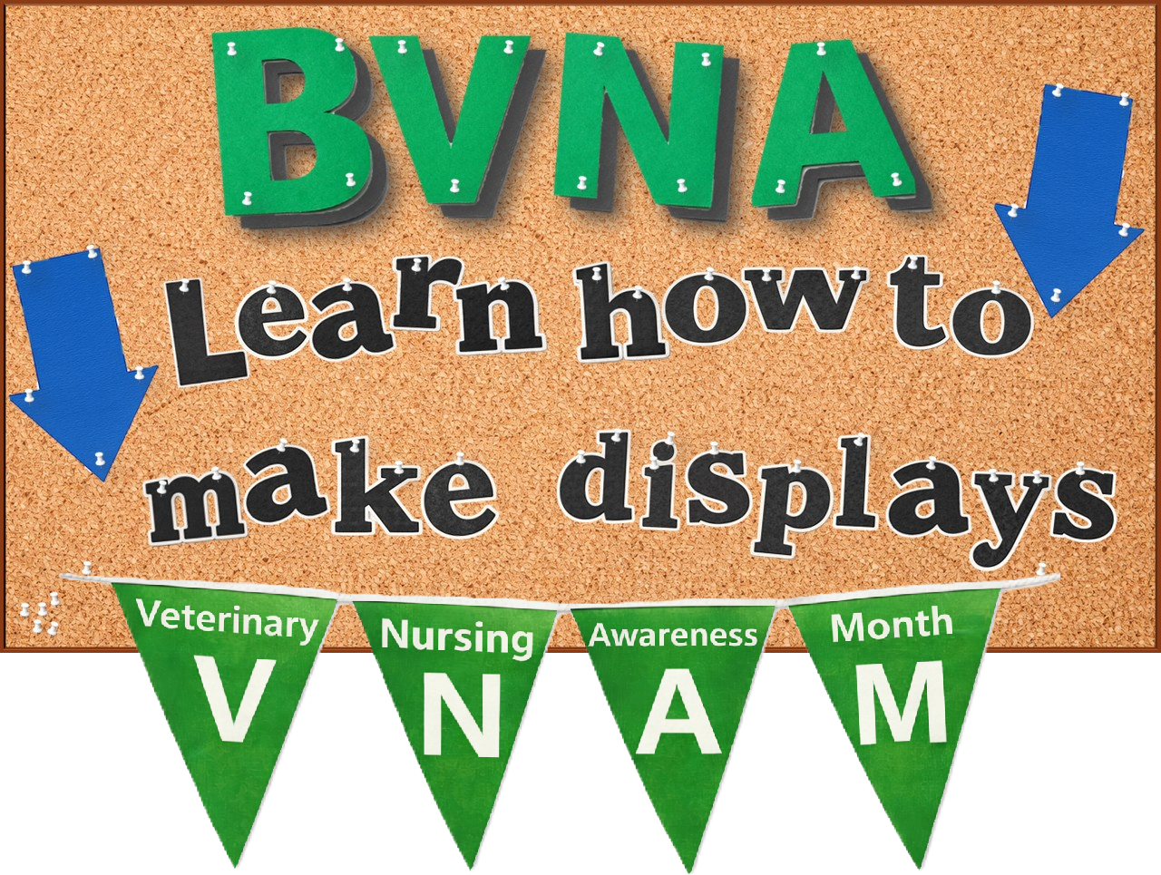How To Design A Display Board - British Veterinary Nursing ...