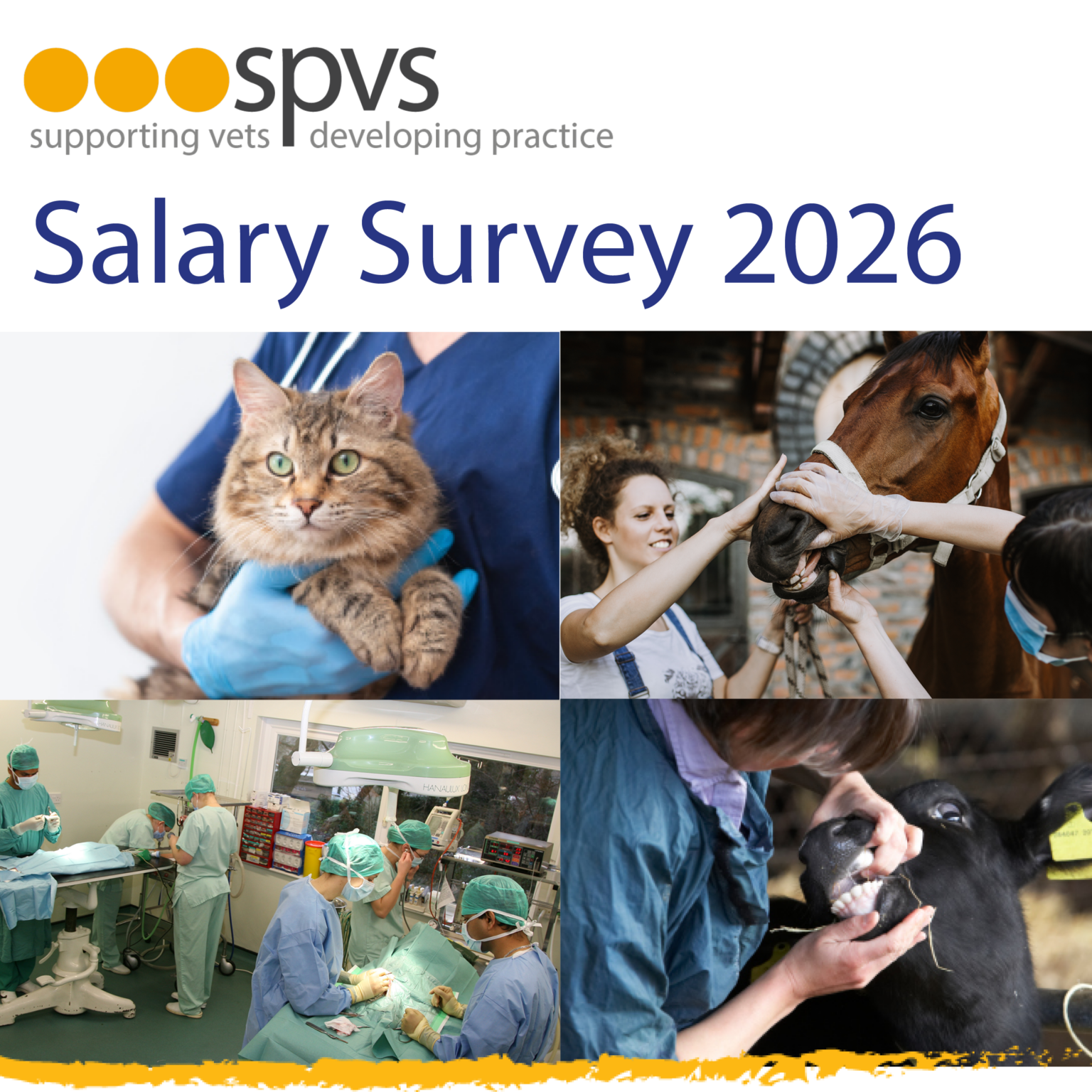 SPVS 2026 Salary Survey Questionnaire NOW OPEN! - British Veterinary ...